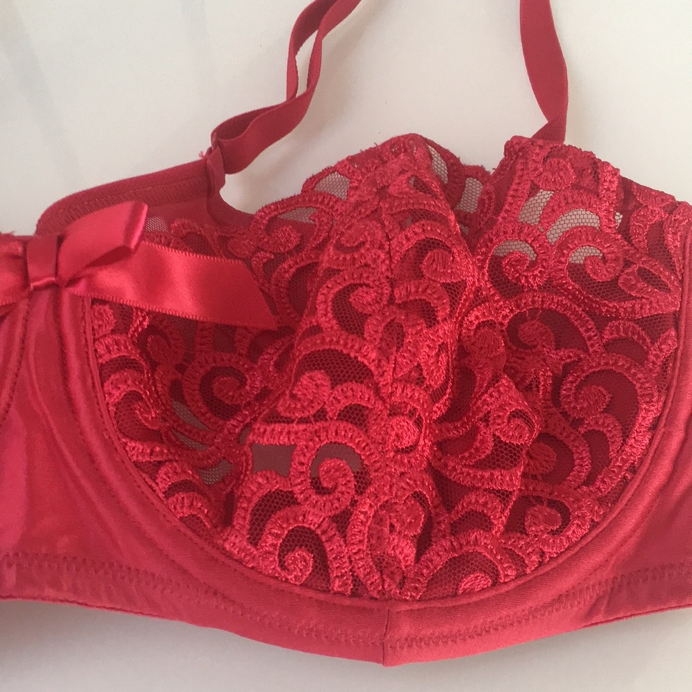 Beautiful Victoria Secret Crimson Brocade Bra With Sa… - Gem
